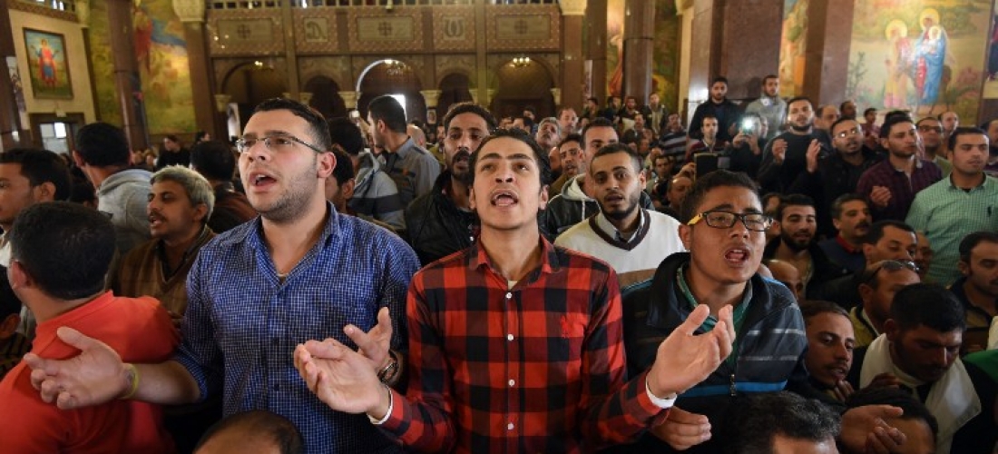 The Egyptian Cause and the Coptic Cause - Coptic Solidarity