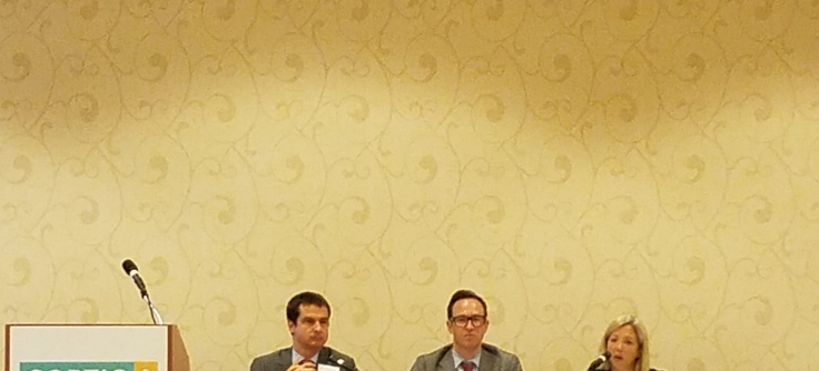 Legal Review of Egyptian NGO Law - Coptic Solidarity