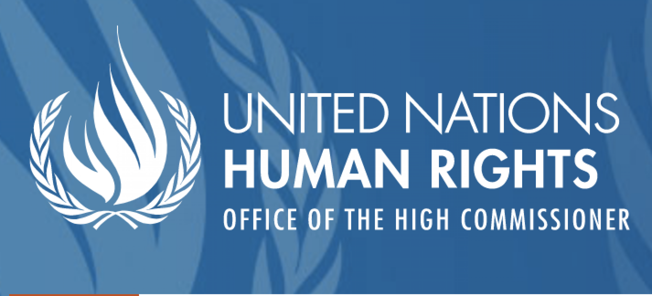 Human Rights Council updated on recent issues in Egypt - Coptic Solidarity